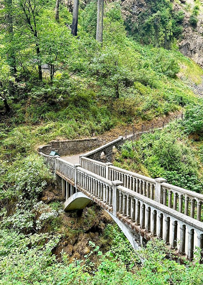 
Benson Bridge spans the falls like a perfect movie set. Stand here and you'll understand why it appears on more postcards than Oregon's state capitol.