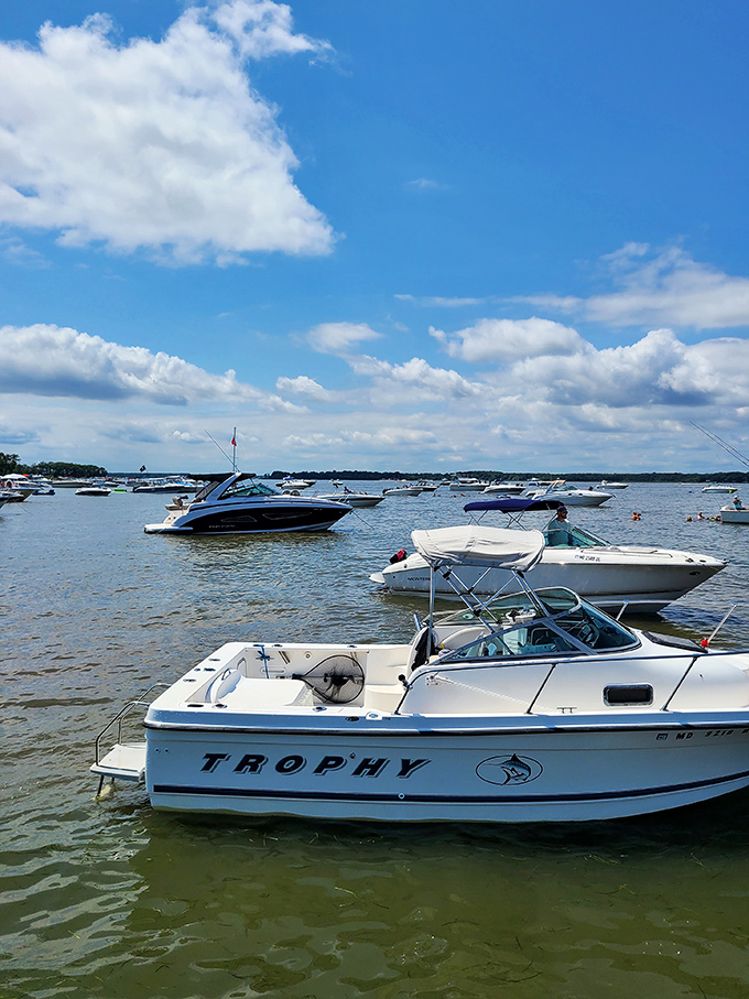 A flotilla of weekend escapists creates a temporary neighborhood on water, where boat-hopping visits replace the suburban "drop by for coffee."