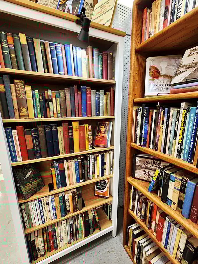 The book nook&mdash;where time truly stands still. These shelves hold forgotten bestsellers, vintage cookbooks, and that exact edition of "Treasure Island" your grandfather read to you.
