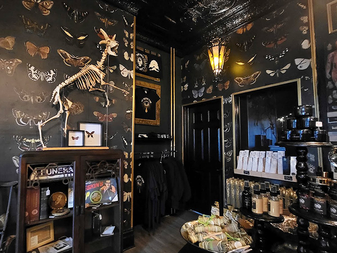 A wall of preserved butterflies and insects surrounds a delicate skeleton, creating a stunning visual meditation on the fragility and beauty of natural life cycles.