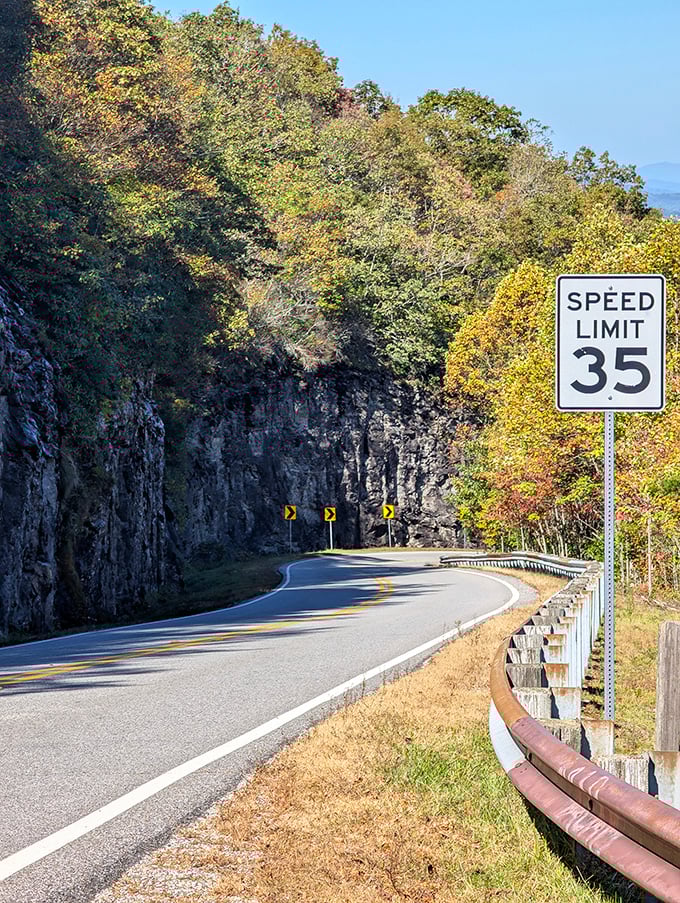 The perfect 35 mph curve &ndash; slow enough to savor the view, fast enough to feel the mountain's embrace around every bend.