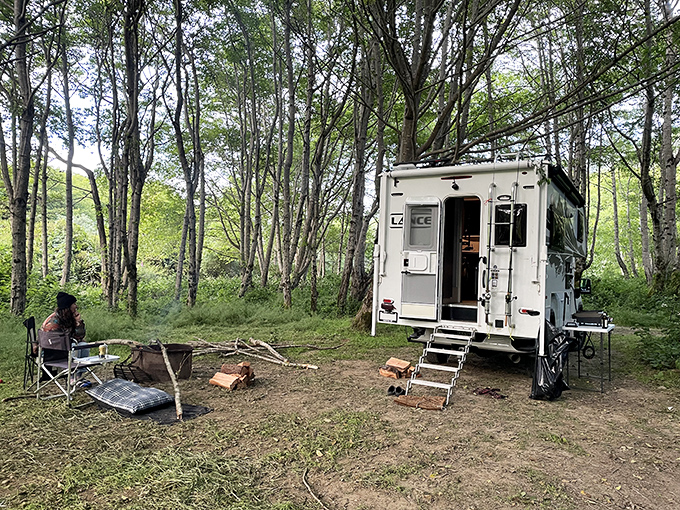 A truck camper nestled in dappled forest light. Proof that your best home might be the one with wheels and no homeowners association.
