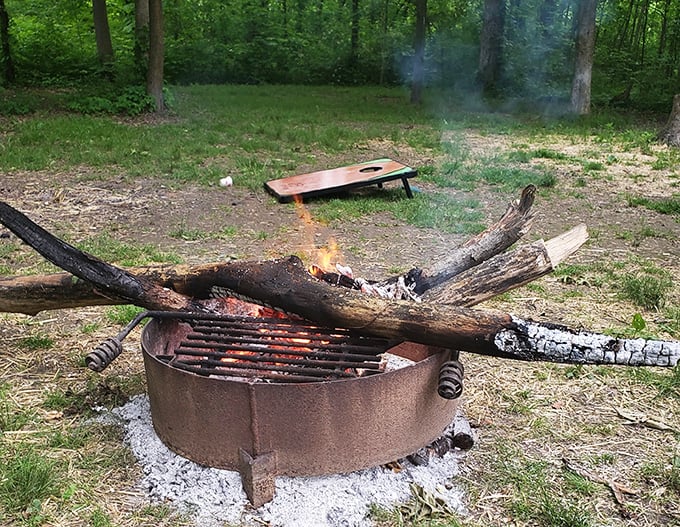 Primal television: the campfire channel. Programming includes dancing flames, occasional sparks, and the best s'more cooking show you'll ever experience.