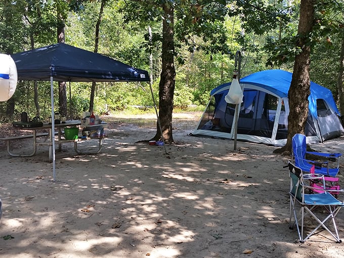 Camping as it should be&mdash;under a canopy of trees with nothing but mesh between you and a million stars. No room service, just room to breathe.