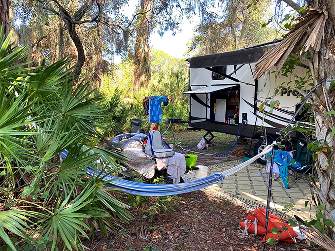 Hammock living reaches art form status when suspended between palms with nothing on your schedule except watching shadows shift.
