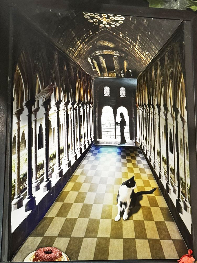 A surreal hallway where cats chase donuts on checkerboard floors. The Peculiarium's optical illusions transport you to another dimension.
