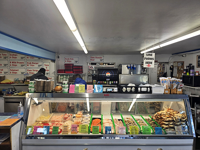 Behind this counter, seafood magic happens daily. The display case isn't just refrigeration&mdash;it's a window into the ocean's finest offerings.