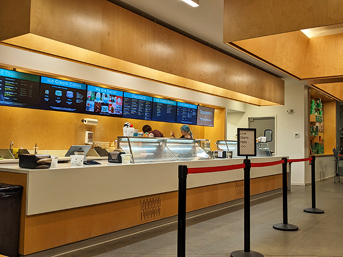 The counter of dreams, where life-changing decisions are made daily between cones, cups, and how many scoops is socially acceptable.