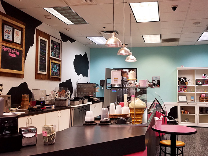 Behind this counter, ice cream artisans work their magic, surrounded by the tools of their delicious trade.
