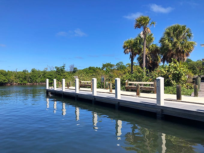 Simplicity at its finest&mdash;a dock, some palms, and endless possibilities. The perfect launching point for aquatic adventures or contemplative sunset gazing.