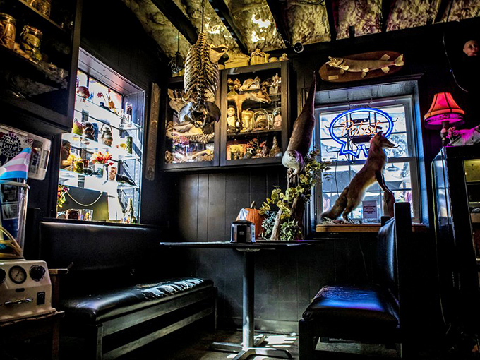 In this corner of The Odd, taxidermy meets art gallery in a space that feels like your coolest friend's basement&mdash;if your friend were a surrealist collector.