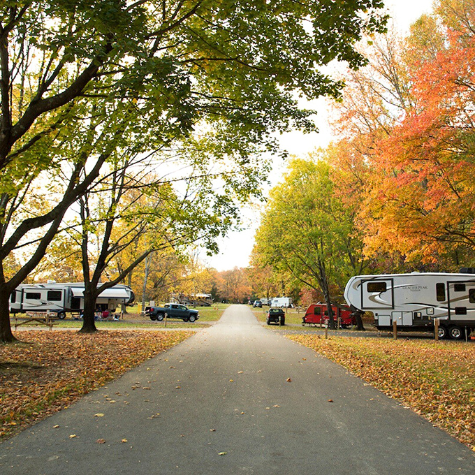 Nature's confetti celebration. Fall camping means waking up to leaf-carpeted roads and the kind of colors that make painters jealous.