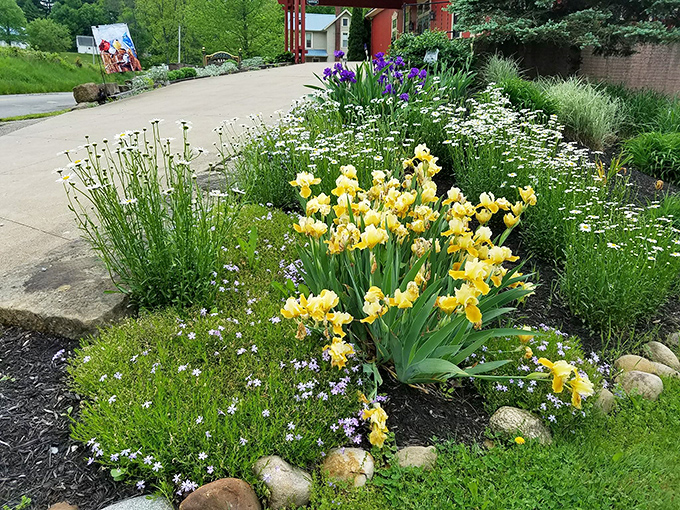 Spring announces itself in technicolor along the driveway, where tulips and daisies compete for your attention like friendly neighbors.