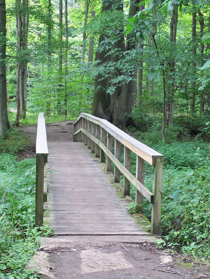 This serene wooden bridge seems to whisper, "Cross me if you dare," though with considerably less drama than most reality TV shows.