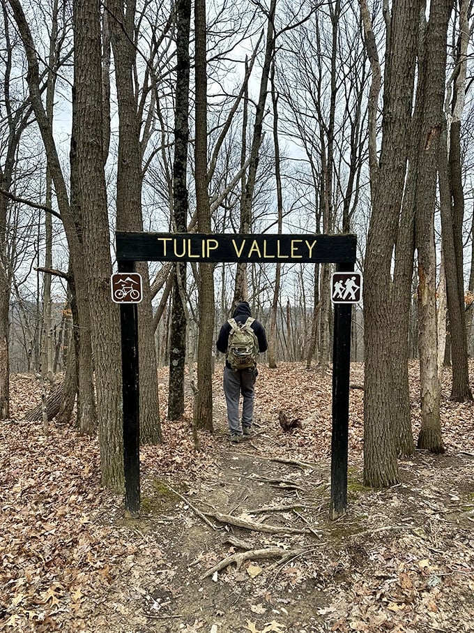 A lone hiker passes through the Tulip Valley gateway, demonstrating that sometimes the best adventures begin with a simple wooden arch.