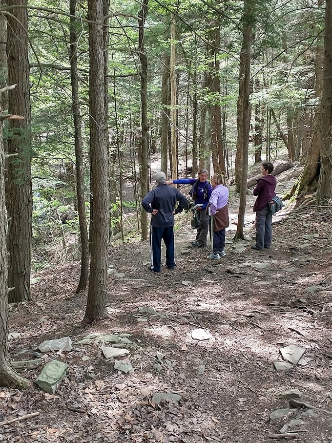 Guided hikes at Salt Springs turn strangers into friends faster than a shared lottery win &ndash; nature has a way of breaking down barriers. 