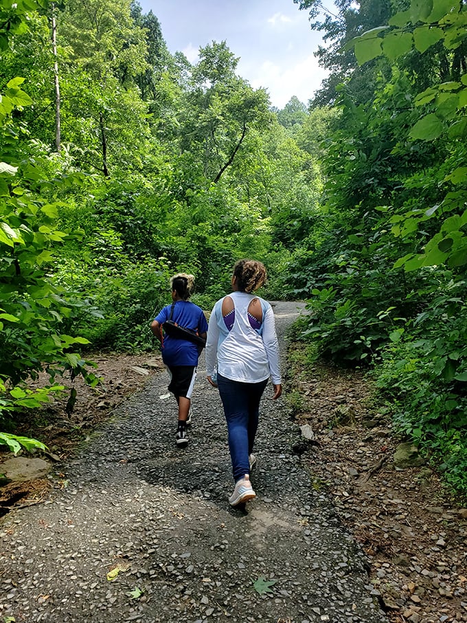 Two explorers forge ahead into nature's embrace. The best conversations often happen on trails, where cell service fades and real connection begins.