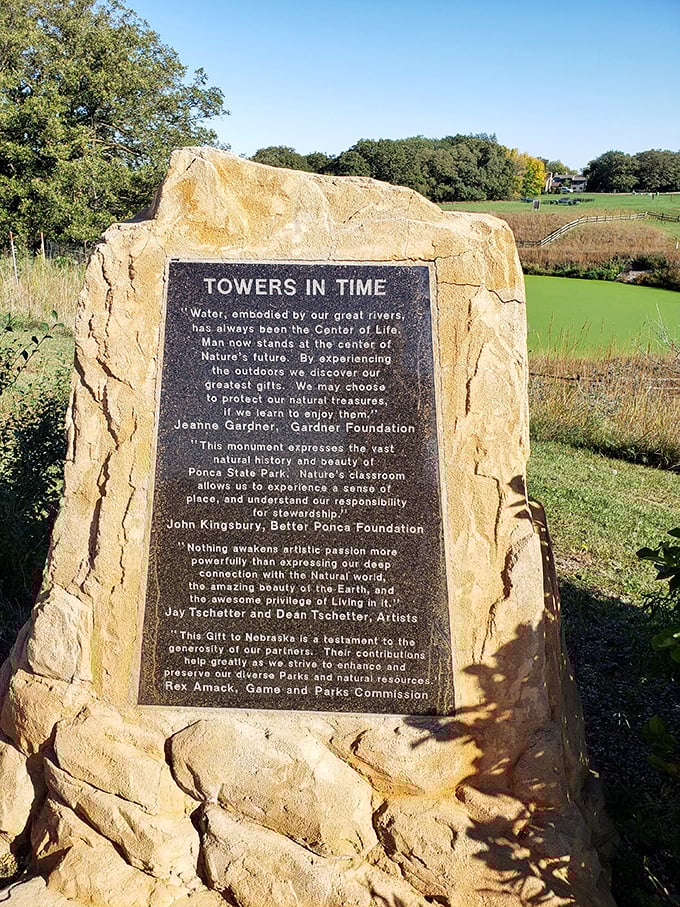 An RV campsite nestled under a canopy of trees &ndash; proving that "roughing it" can still include a comfortable mattress and morning coffee. 