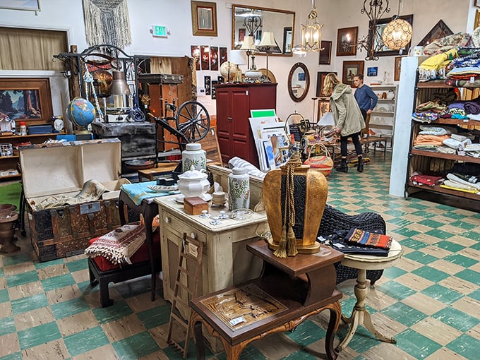 Lamps, cabinets, and curios arranged with the casual precision of someone who understands that clutter and collection are separated only by presentation. 