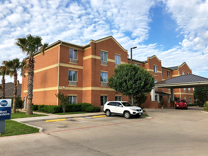 When barbecue pilgrims need rest, modern comfort awaits. Though in Lockhart, dreams are still filled with smoke and brisket.