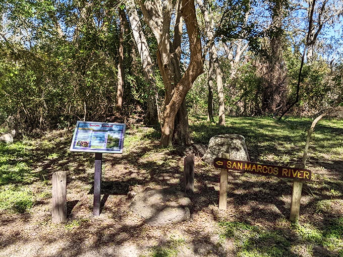 Trail markers: where education meets navigation. This sign ensures you'll learn something new while confirming you're not actually lost in the wilderness.