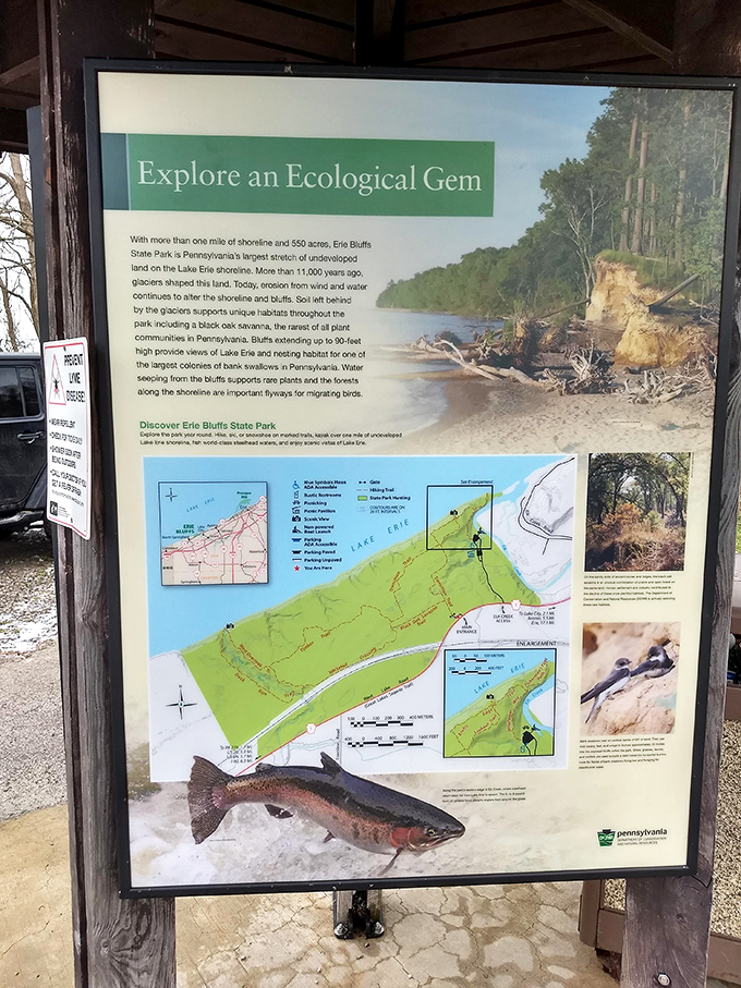 Knowledge is power, but knowledge with a map is not getting lost—this sign offers both in equal measure.