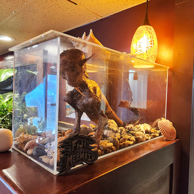 This haunting mermaid specimen brings mythological imagination to life, nestled among seashells and marine curiosities like a dark fairy tale made tangible.