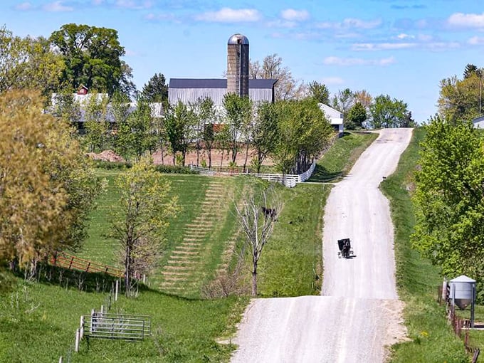 A pristine white barn and silo stand against Iowa's impossibly blue sky. This is the landscape that feeds America, folks.