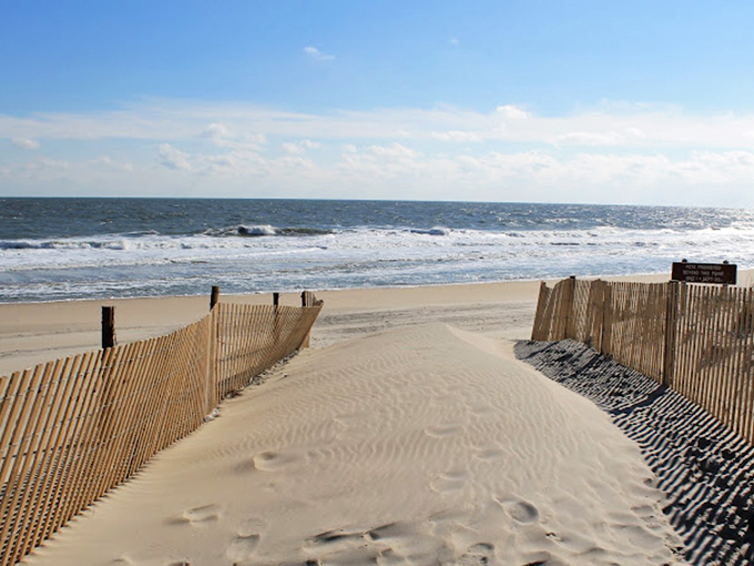 The invitation: twin sand fences frame your entrance to the Atlantic, like nature's version of parting the Red Sea.