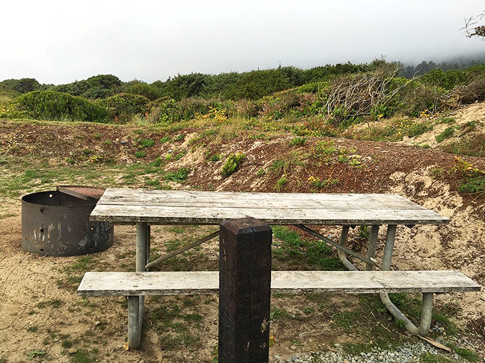 Nature's dining room: This weathered picnic table offers the best seat in the house for post-hike sandwiches with a side of ocean breeze. 