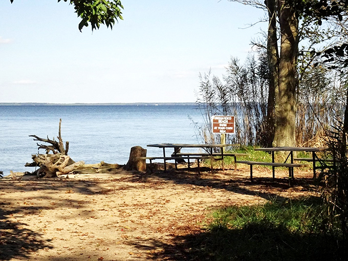The perfect picnic spot where you can rest weary legs while contemplating how many ancient creatures swam where you now gaze.