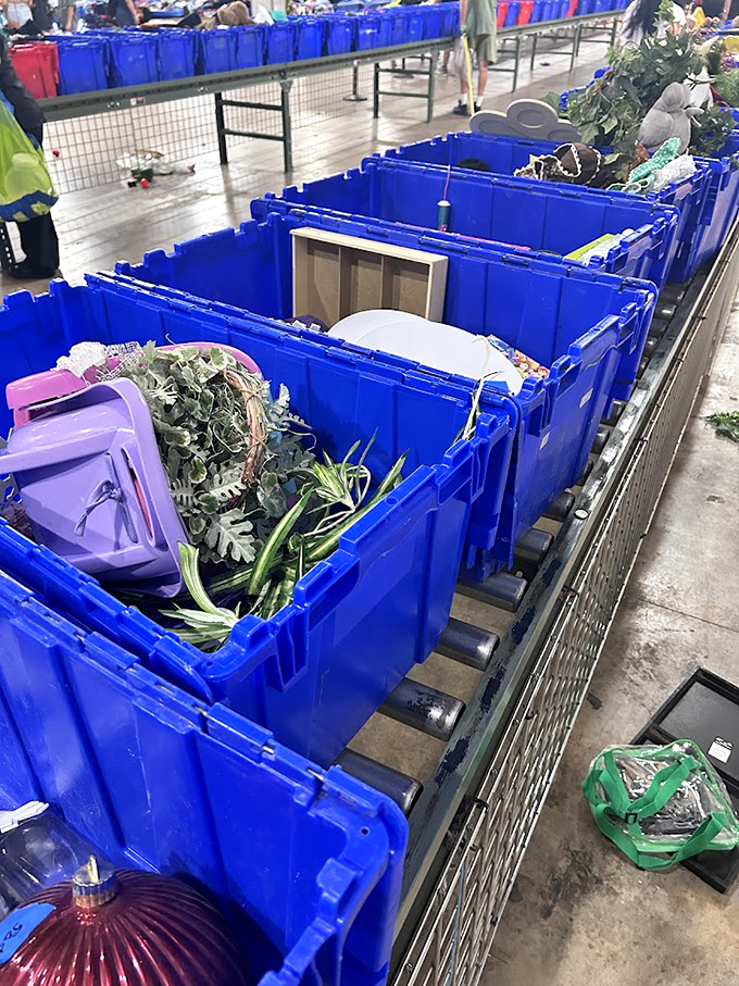 The beautiful randomness of it all. Where else could you find artificial plants, picture frames, and holiday decorations coexisting in perfect harmony?