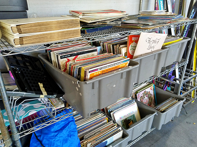 Vinyl paradise for analog souls. Each crate holds the soundtrack to someone's memories—and possibly your next dinner party playlist.