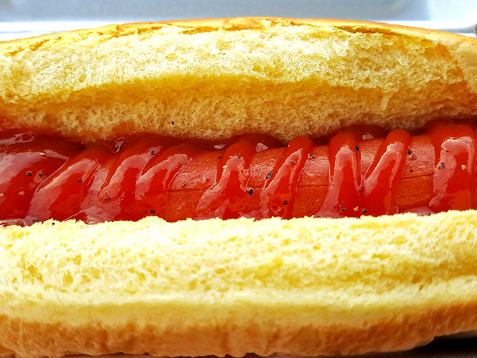 Sometimes simplicity speaks volumes. This perfectly grilled hot dog with vibrant red skin proves that classics become classics for good reason.