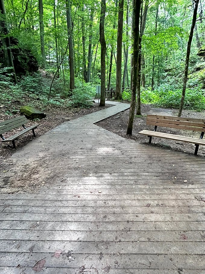 Nature's perfect waiting room comes complete with bench seating and a canopy of leaves that puts five-star hotel lobbies to shame.
