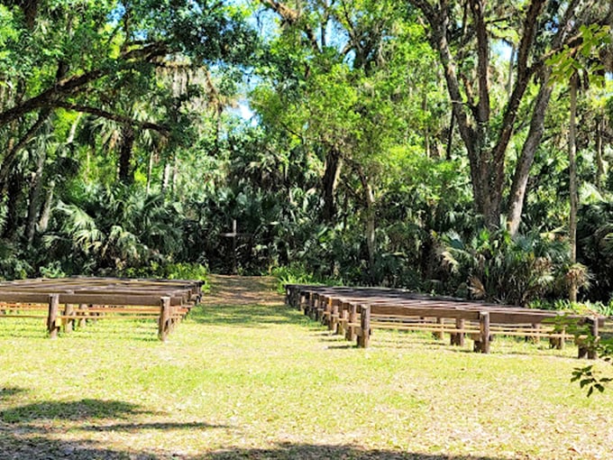 Nature's amphitheater awaits with rustic seating for presentations where the real stars are the towering trees overhead.