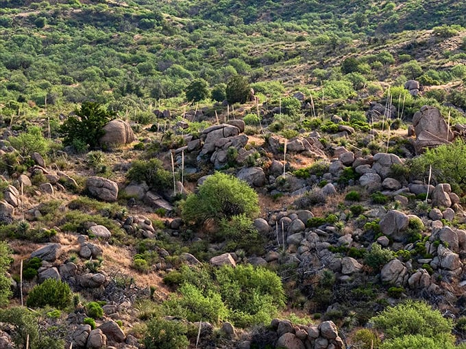 Nature's sculpture garden puts human artists on notice. These stacked boulders have been perfecting their composition for millions of years.