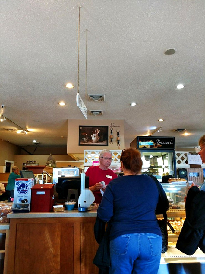 This salad plate tells a colorful story of Pennsylvania produce&mdash;broccoli salad, cranberry relish, and fresh greens playing together like old friends. 