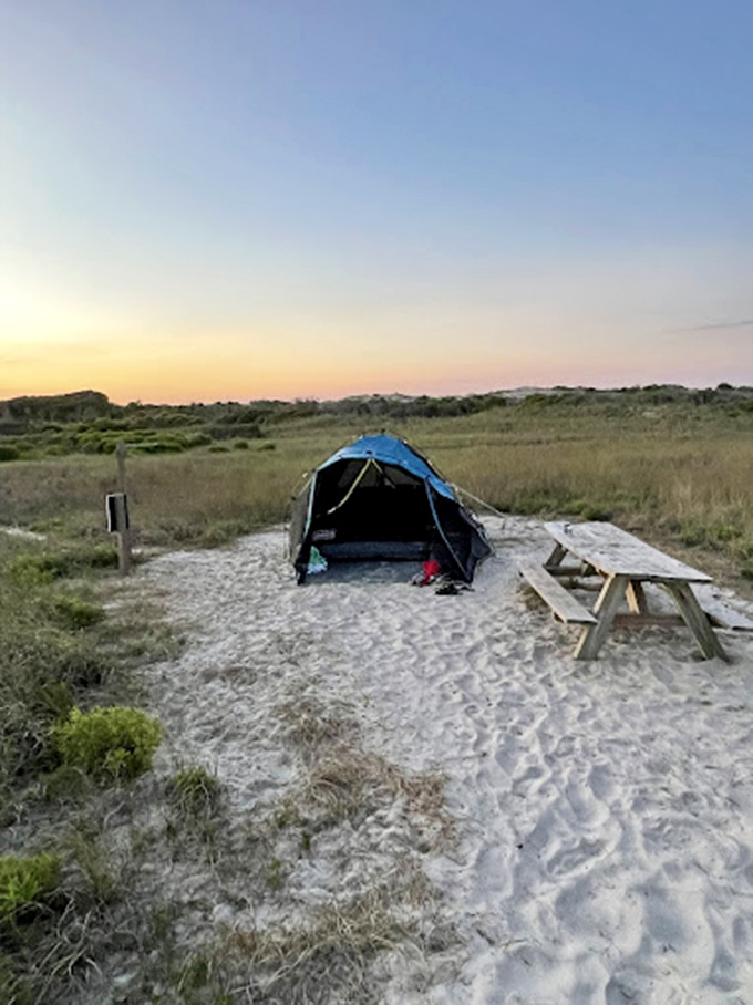 Home sweet temporary home. This campsite proves luxury isn't measured in thread count but in proximity to natural beauty.