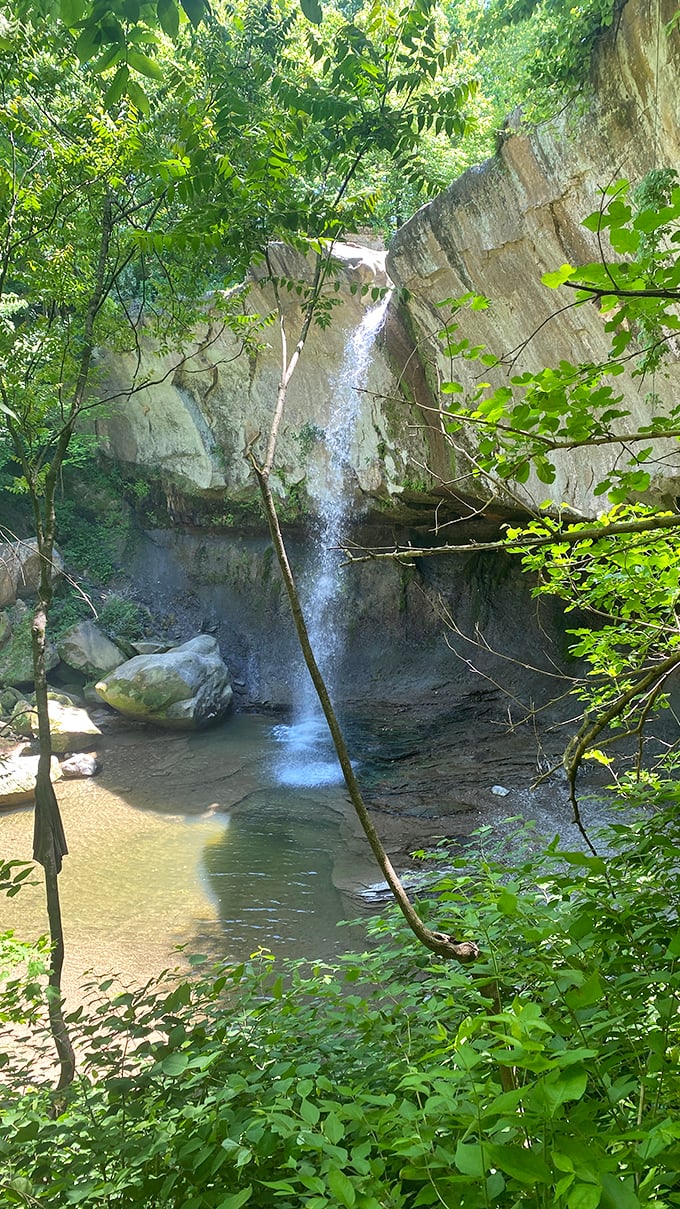 Nature's curtain call between ancient limestone walls. The falls appear delicate yet powerful, like a ballet dancer with unexpected strength.