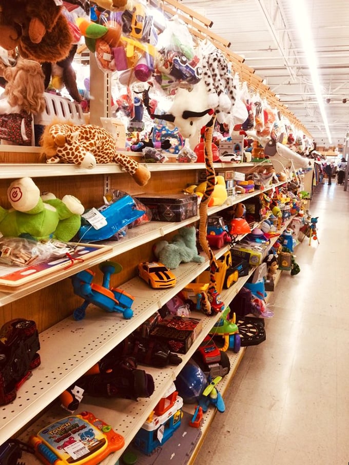 Stuffed animal adoption center or toy resurrection facility? These once-loved creatures await their next cuddle companion.
