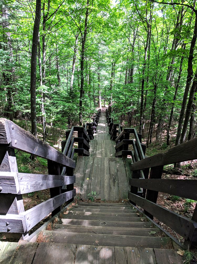These wooden steps descending into the forest offer the rare opportunity to simultaneously get exercise and feel like you're in a fantasy novel.