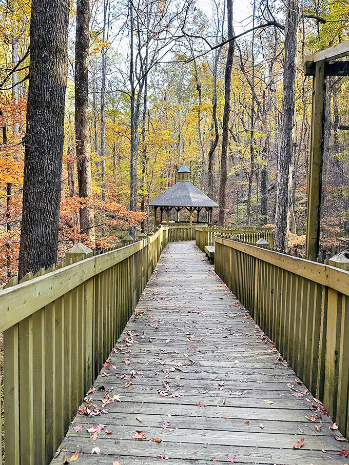 The boardwalk stretches toward a gazebo like a wooden ribbon unwrapping the gift of tranquility in Alabama's forest heart.
