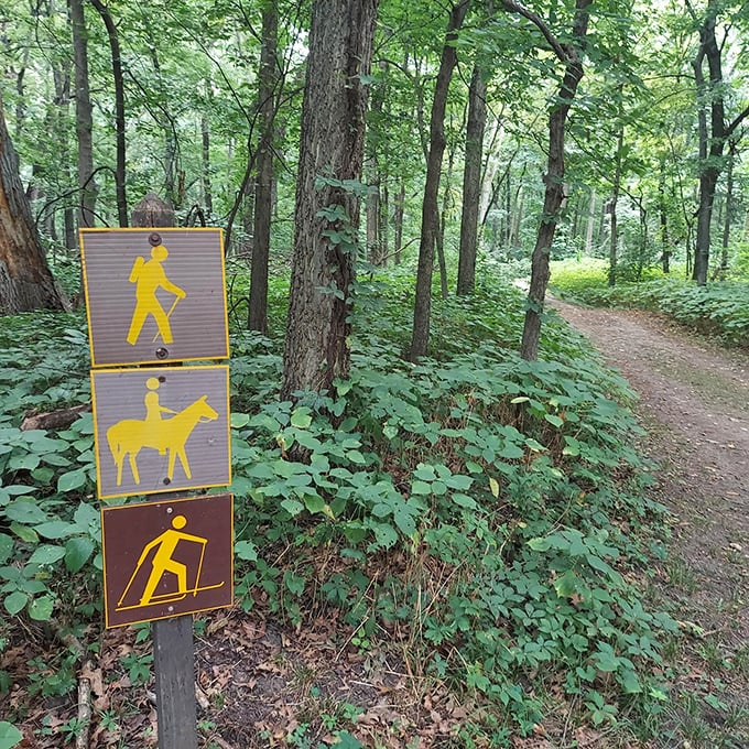 Trail markers: the original GPS system, minus the judgmental voice telling you to make a U-turn. Multiple activities await on this woodland path.