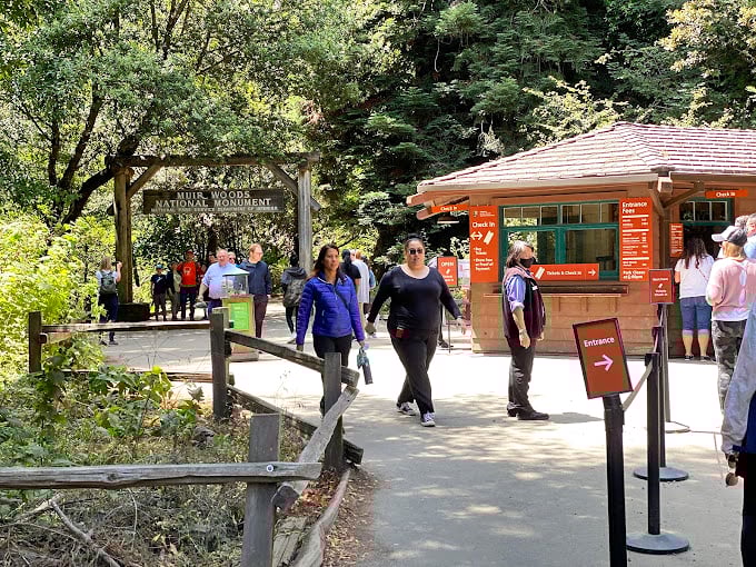 Fellow nature enthusiasts making their pilgrimage to the woods &ndash; each face carrying that unmistakable expression of "Why don't I do this more often?"