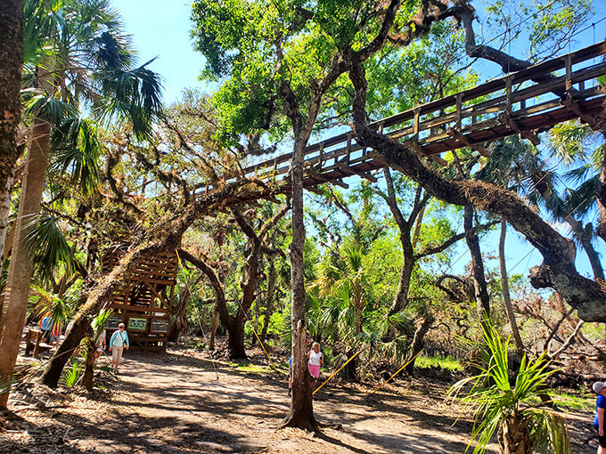 Looking down from the canopy walkway is like peeking behind nature's curtain—a backstage pass to ecological performances that run 24/7.