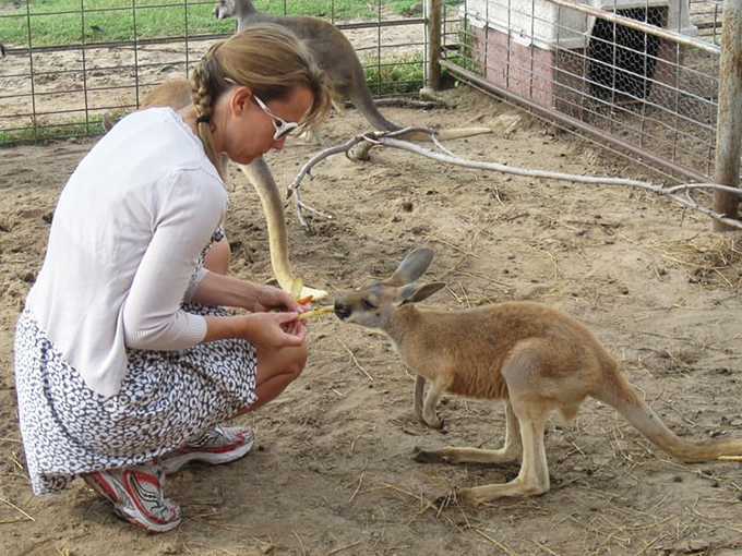 The gentle connection between visitor and kangaroo creates the kind of travel moment that stays with you long after returning home.