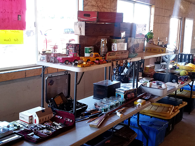 Vintage toy cars and collectibles lined up like a miniature showroom of nostalgia. Remember when you begged your parents for that exact fire truck?