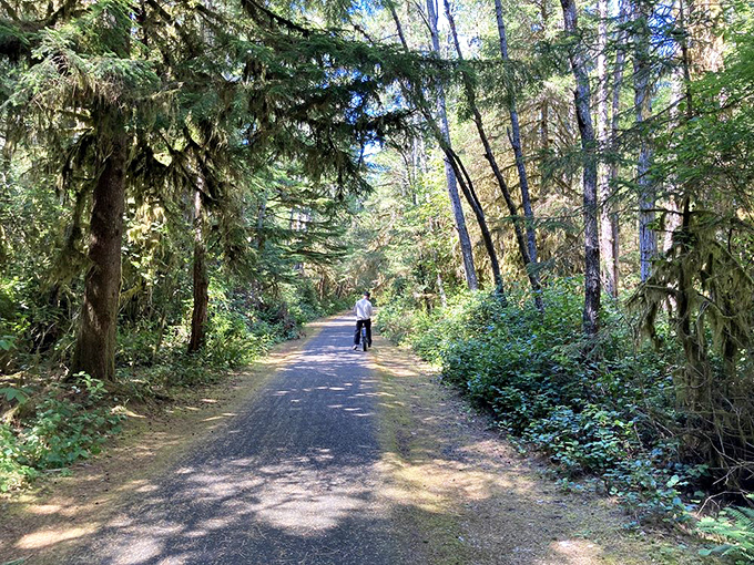 Two-wheeled tranquility. This paved trail through sun-dappled forest offers exercise without the dreaded phrase "feel the burn."