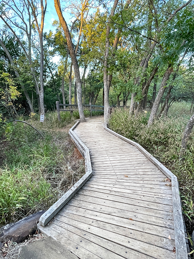 Nature rarely travels in straight lines. This winding wooden pathway respects the land's natural contours while keeping your shoes mud-free.